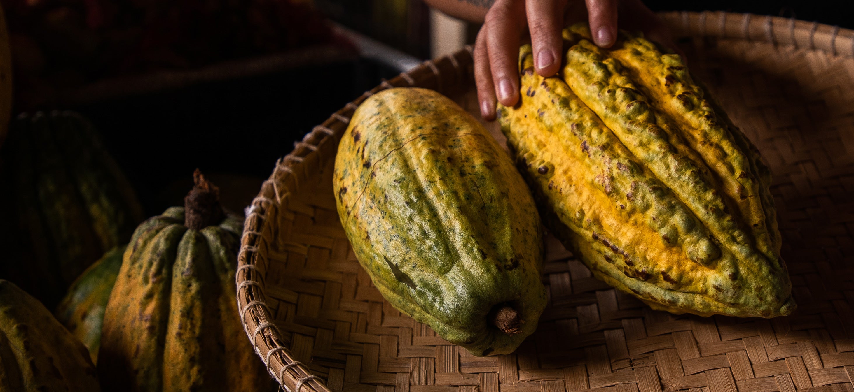 Mazô Maná – mazomana